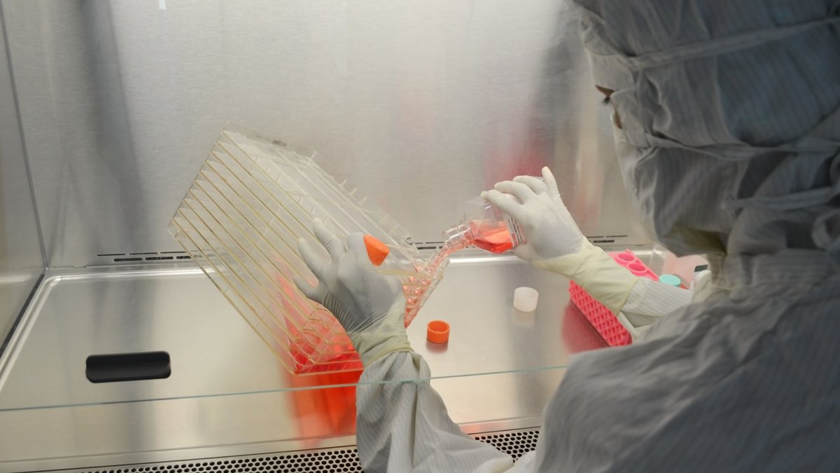 NIH Launches New Office To Speed Human-Based Research and Reduce Animal ...
